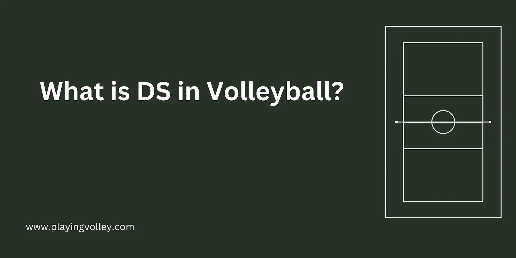 What is DS in Volleyball - Key Skills and Strategies Explained
